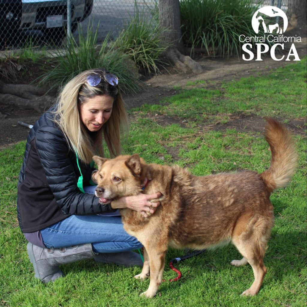 #CCSPCARescueTails – Central California SPCA, Fresno, CA