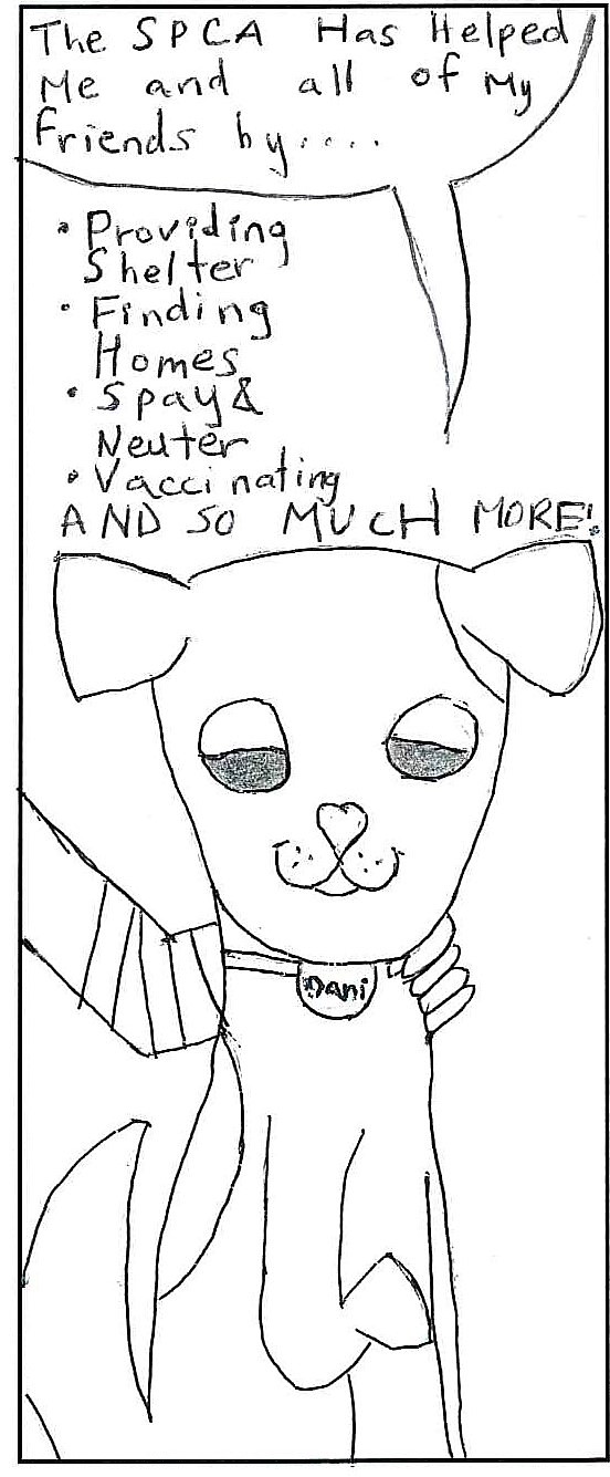 1st Place Mikayla M. – Mickey Cox Elementary (4th grade) – Central ...