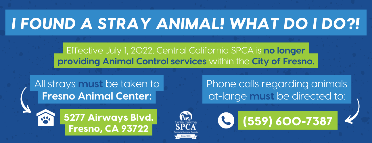 Homepage - Central California SPCA, Fresno, CA