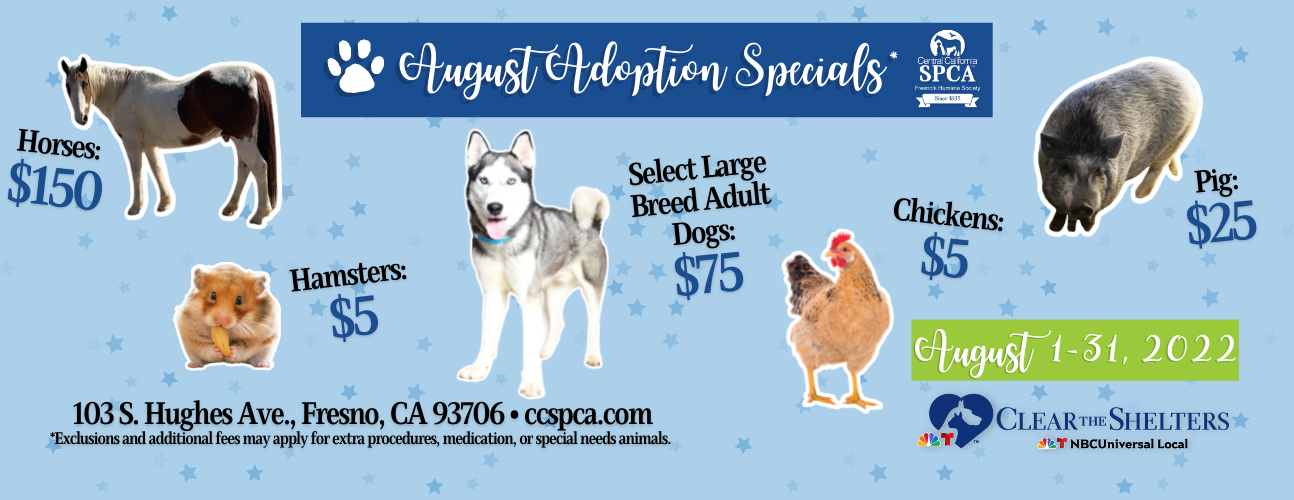 Homepage - Central California SPCA, Fresno, CA